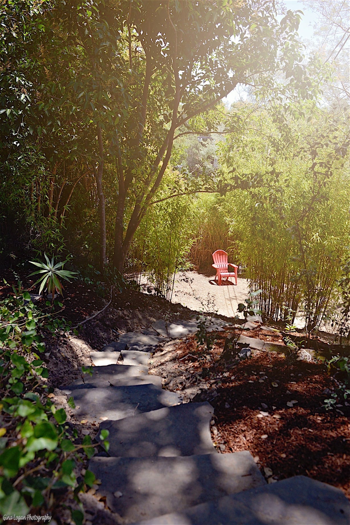 Marin Commercial, Architecture, and Real Estate Photography ...